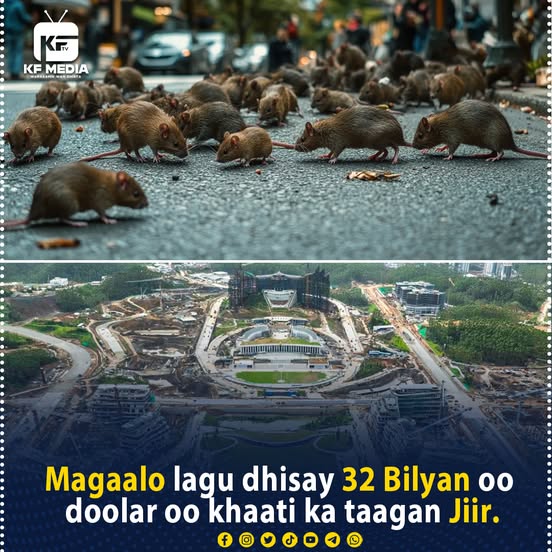 Dalka Indonesia gaar ahaan magaalada Nusantara, waxaa ay dalxiisayaashu ...