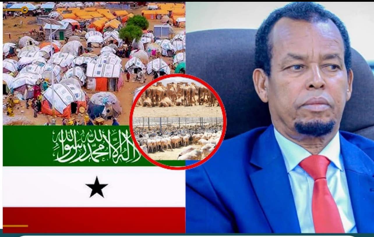 DEGDEG: Xukuumadda Somaliland oo Magaalada Ka Saaraysa Dad Reer miyi ...