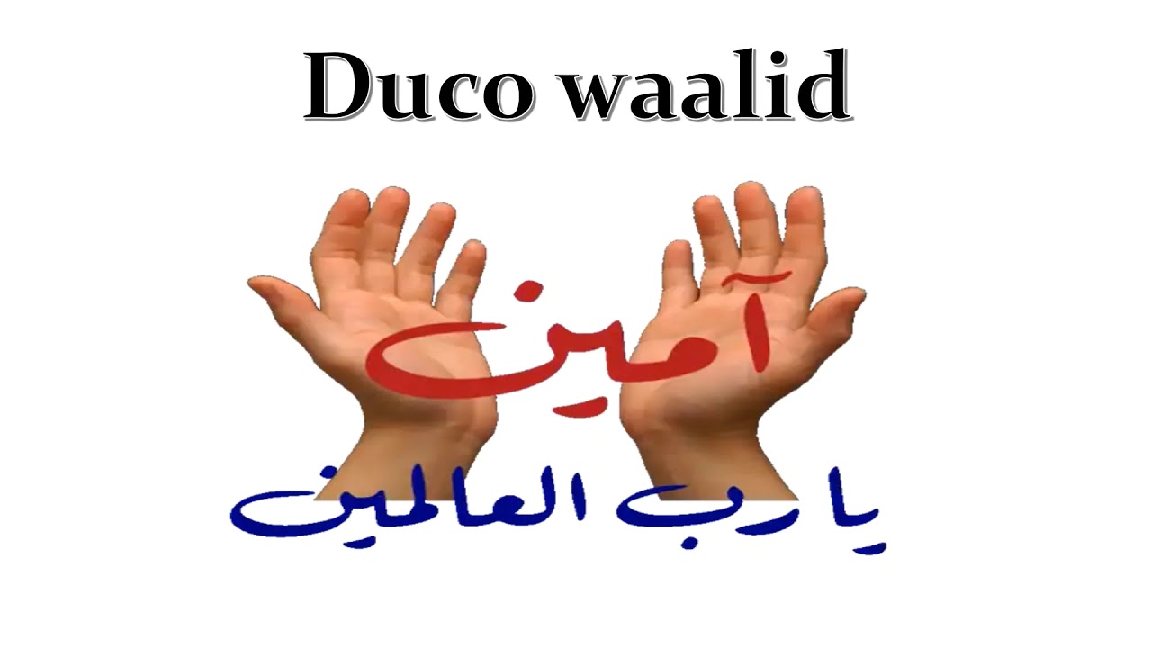 Duco Waalid Weeyaan Iyo Dardaaran Gobanimo,Jidhkaydiin Damqanayo ...