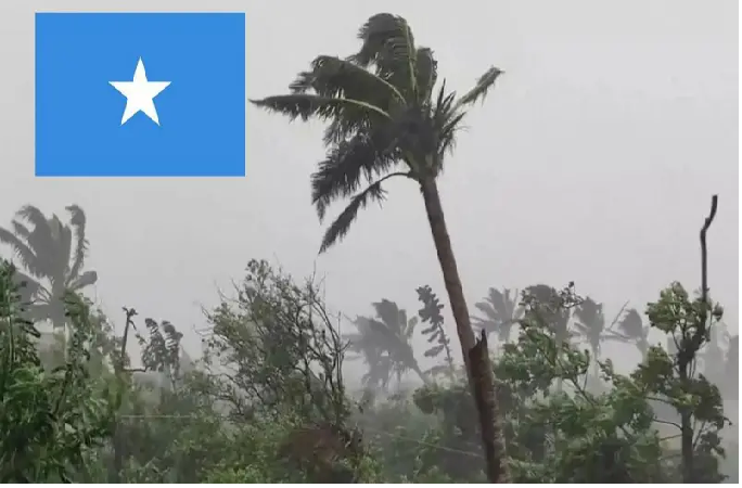 Maxay tahay musiibada cusub ee ku soo wejahan gobollo ka mid ah Soomaaliya?