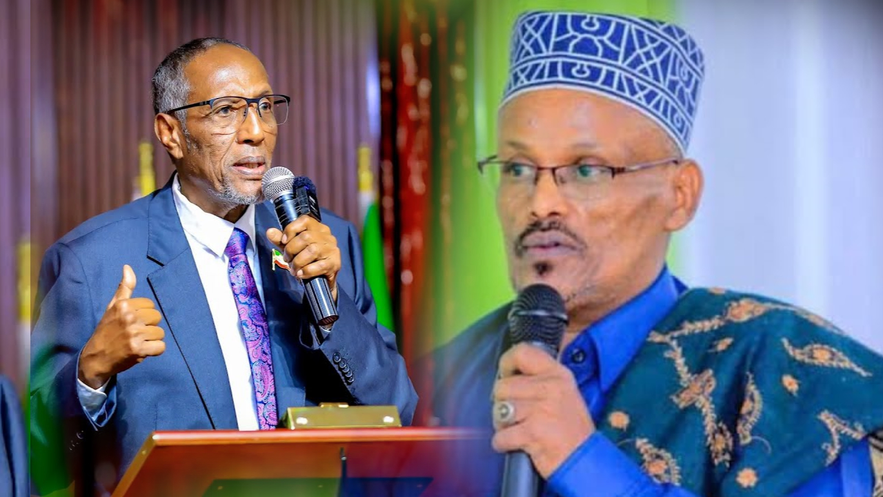 DAAWO Deg Deg:Suldaan Xasan Suldaan Cabdilaahi oo Saab TV la hadlay iyo ...
