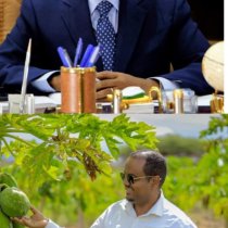 Hadhwanaag Media Network - hadhwanaagnews.com